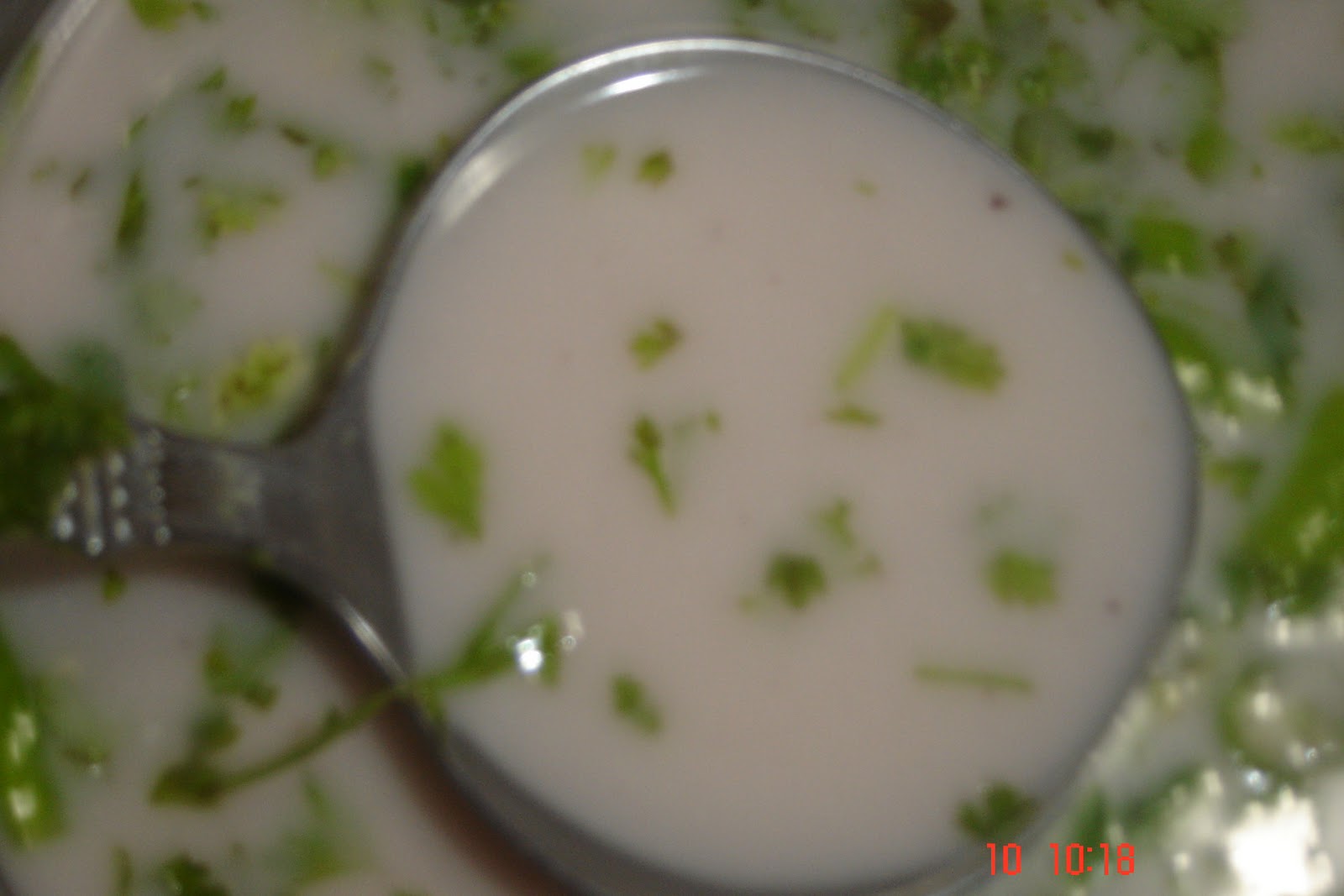 Sol Kadi | The Mad Scientists Kitchen