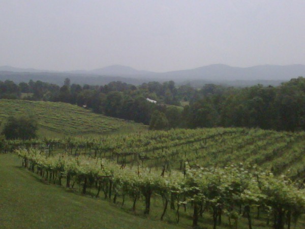 Random Oenophile: Winery Review: Frogtown Cellars