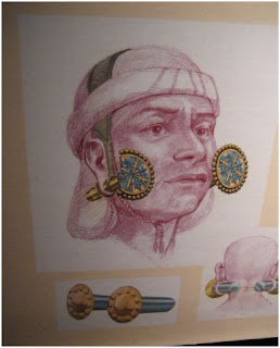 See Through Stretched Piercings / The Beading Gem