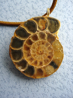 Rare Gemstone : Ammonite / The Beading Gem