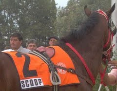 Stud Farra Corrida: Candy Ride:"El Elegido"