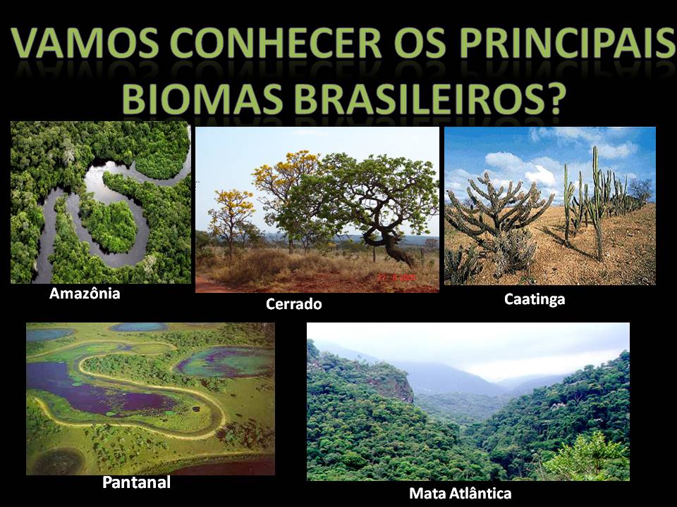Ced 03 Ambiental: Biomas Brasileiros