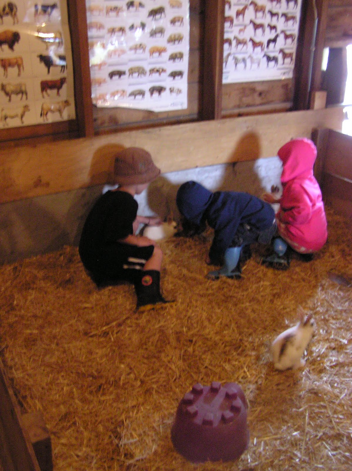 Ruth's Rambles...: Morning Sound Farm