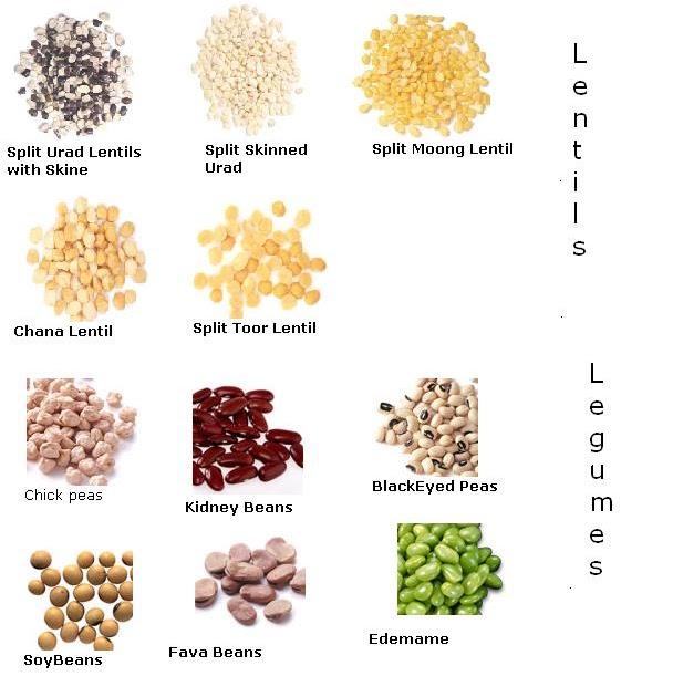 Lentils and Legumes