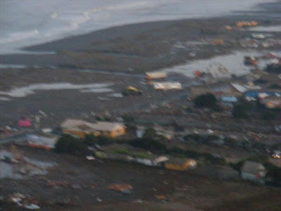 Informativo Animalista: CIRCO QUE ESTARIA AFECTADO POR TSUNAMI EN ILOCA