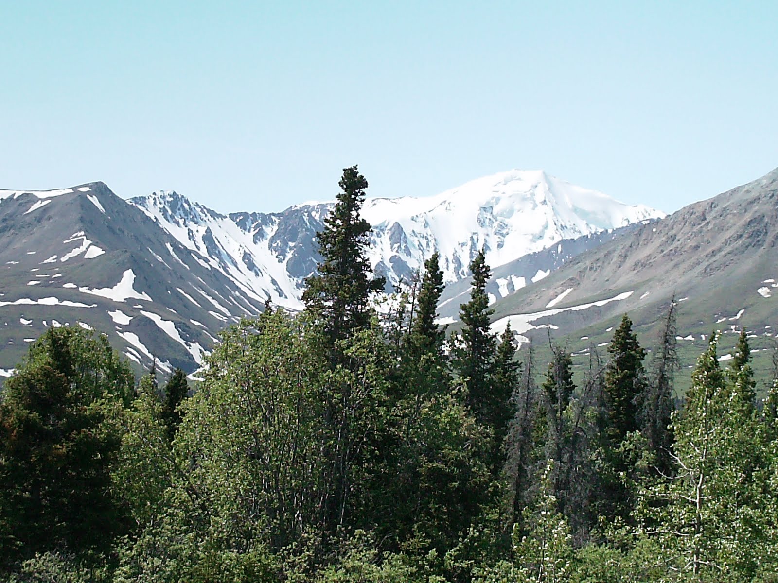 Bishop Alaska: 6/13/10 - 6/20/10