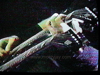 Metallica Files: ESP Double-Neck Explorer 'Ducks'