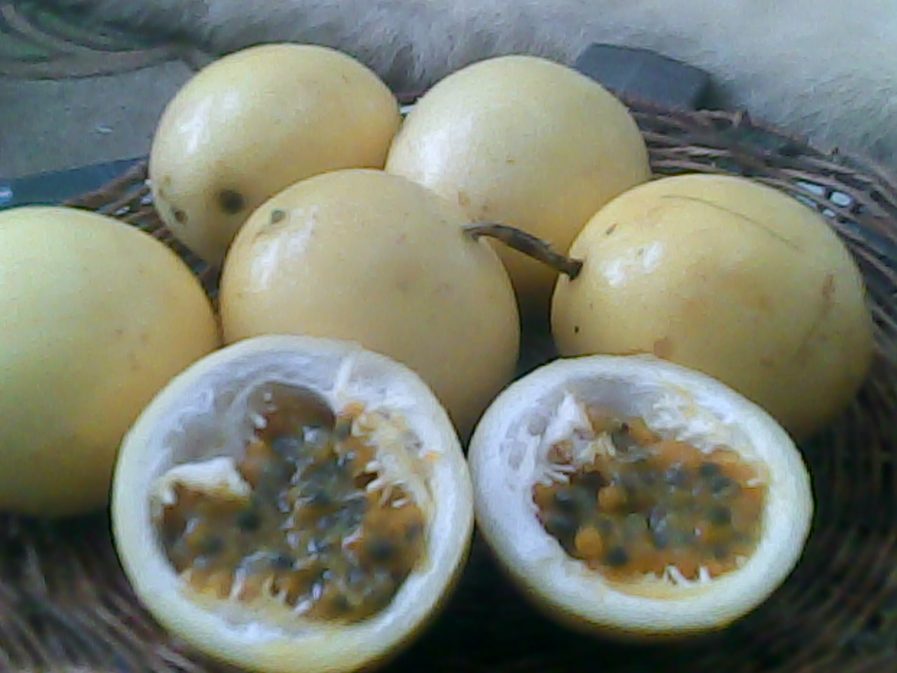 The Quack Chef: The Fruit of Passion