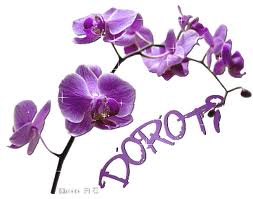 Artesão do Espaço: Doroti, a Imprescindível