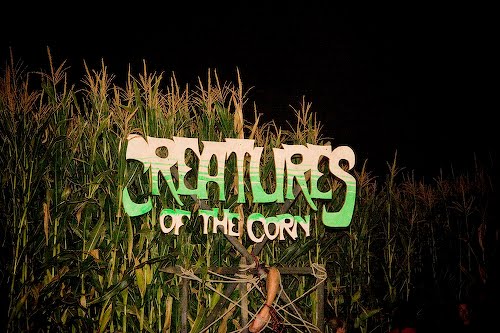 SPOOKY • LITTLE • GIRL : Fright Fair ScreamPark at the Halloween ...