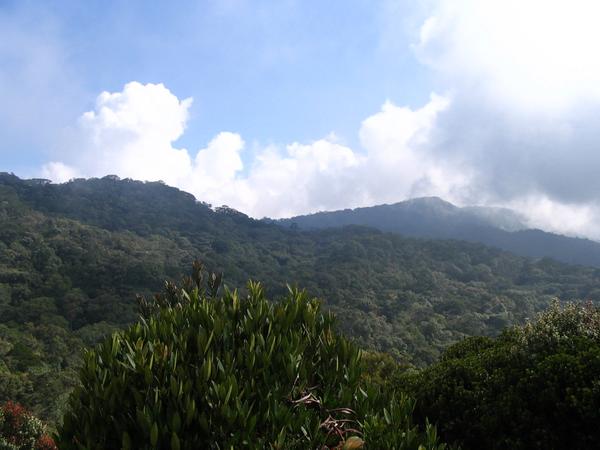 GUNUNG BENOM
