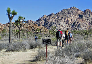 Mountain Kaleidoscope: Joshua Tree - Boy Scout Trail