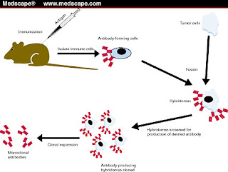 Immunology