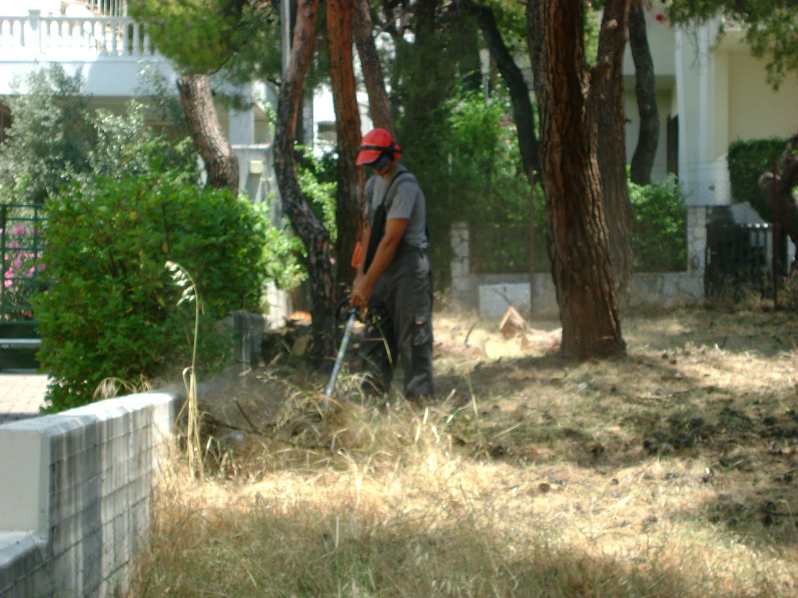 ΔΕΝΔΡΟ & TEXNH ΚΑΘΑΡΙΣΜΟΙ ΟΙΚΟΠΕΔΩΝ ΑΠΟ ΞΕΡΑ ΧΟΡΤΑ.ΚΛΑΔΕΜΑ ΔΕΝΤΡΩΝ ...