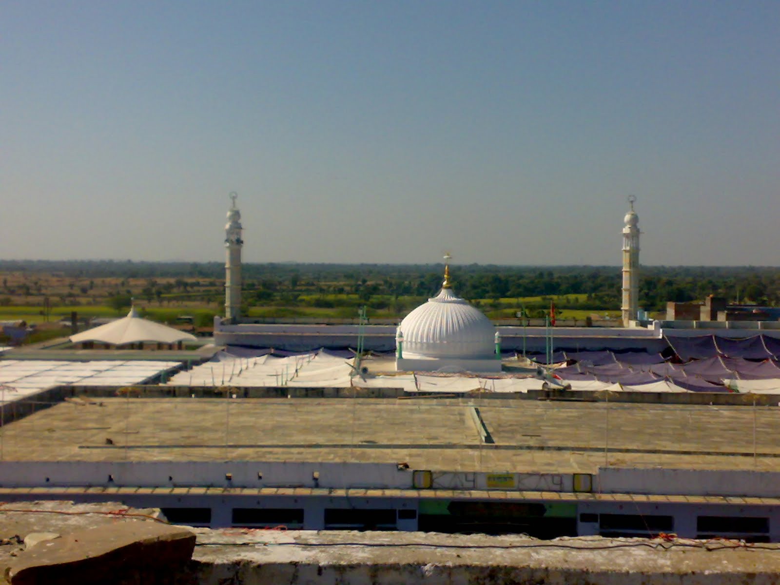 Javed Shekh: kapasan dargah