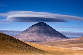 Carnet intime d'un ornithorynque concupiscent: Un ornithorynque ...