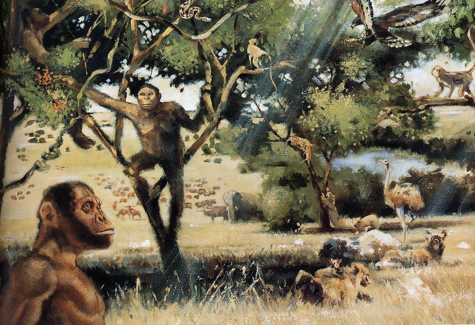 Class Stuff: ANTH 4120 Third Exam