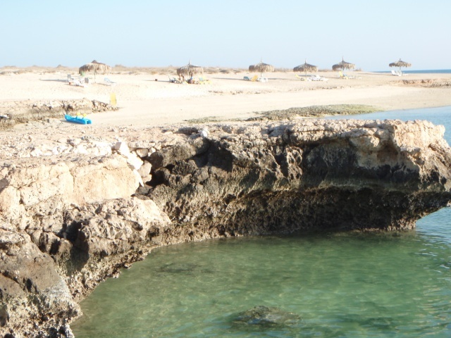 DaveGoesToAfrica: Moucha Island