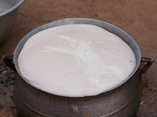 Vegan Footprints: Making Tofu in an African Village