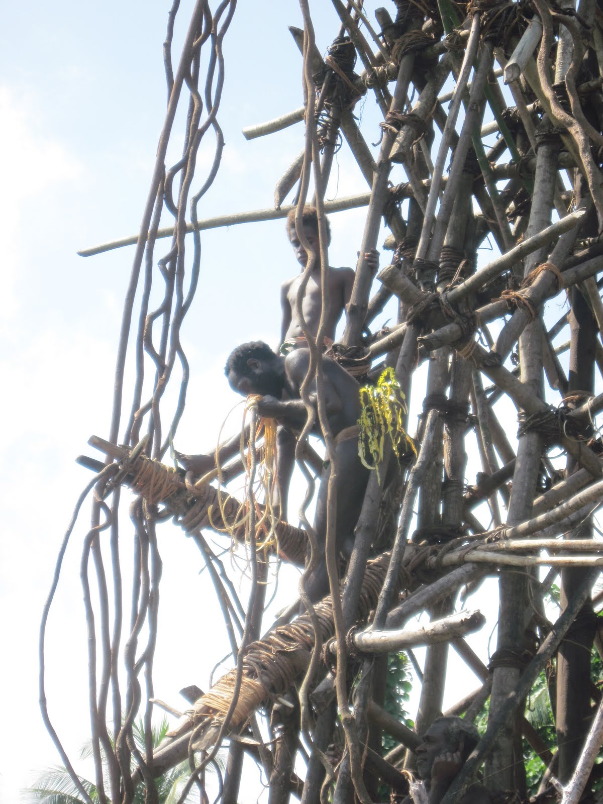 Life in the South Pacific: The original bungee jumping!