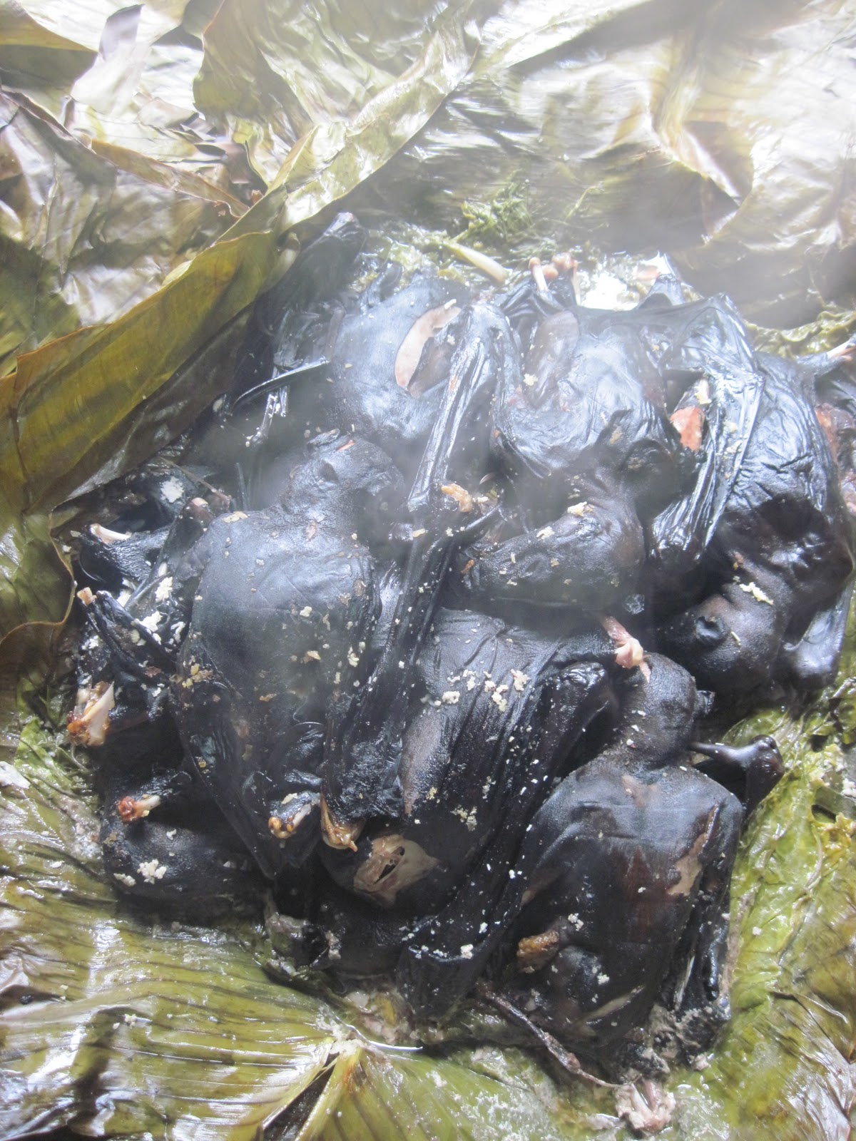 Life in the South Pacific: Who wants flying fox for dinner?