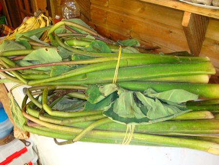 Calalou (recette ancienne de Da Élodie)