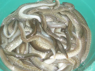 Made in Cebu: Bakasi Recipe