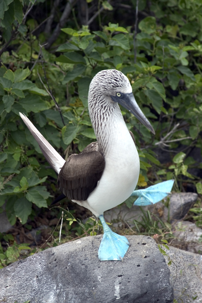 Contagious Health: October 2010