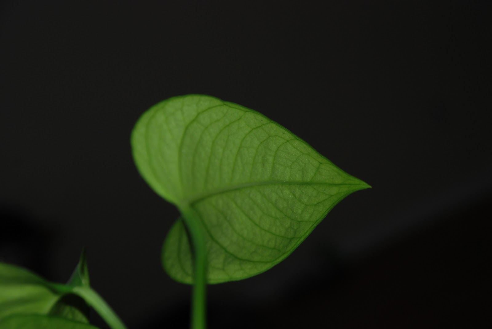 Contagious Health: October 2010