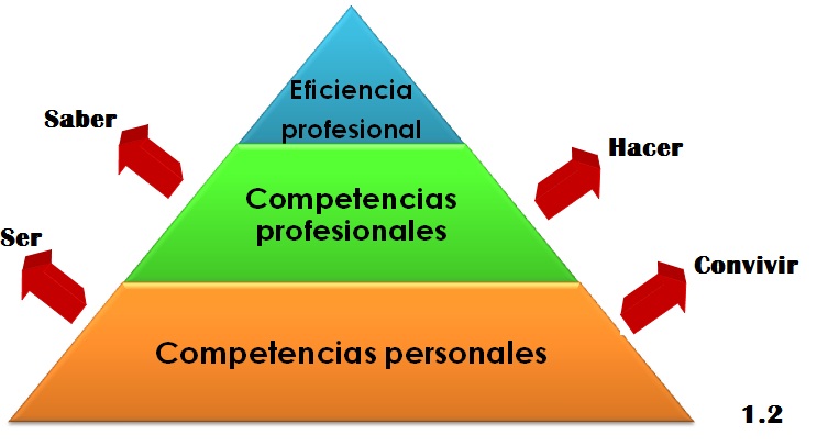 Aprendizaje Organizacional: 5. Desarrollo de competencias