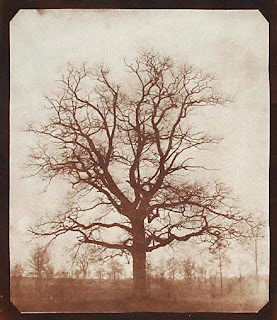 Photography: William Talbot