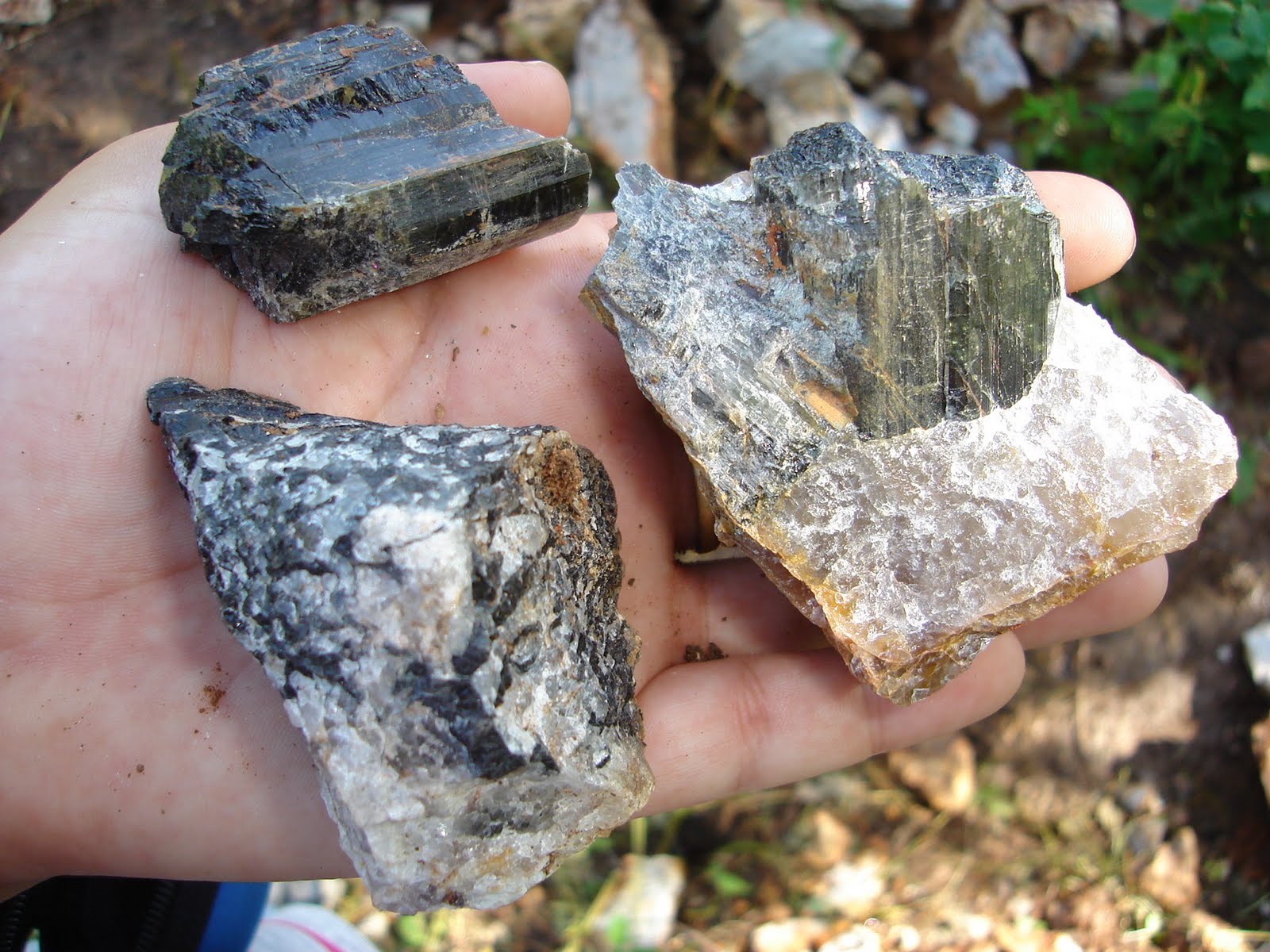 The MB@ blog: The impact of mining on some rural populations of North ...