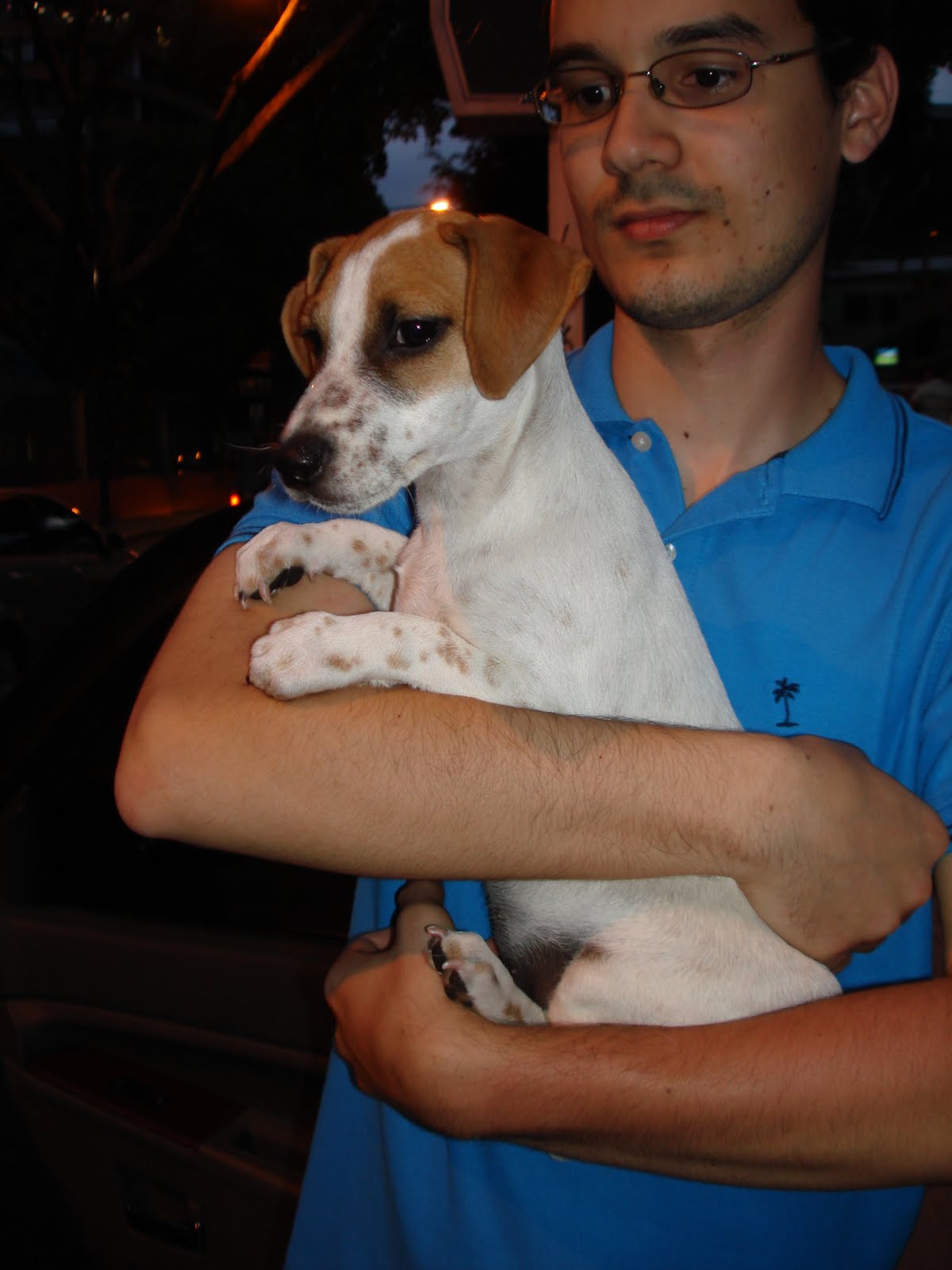 Aerogaby: Entrevista a Tony el Terrier, mi nuevo perrito
