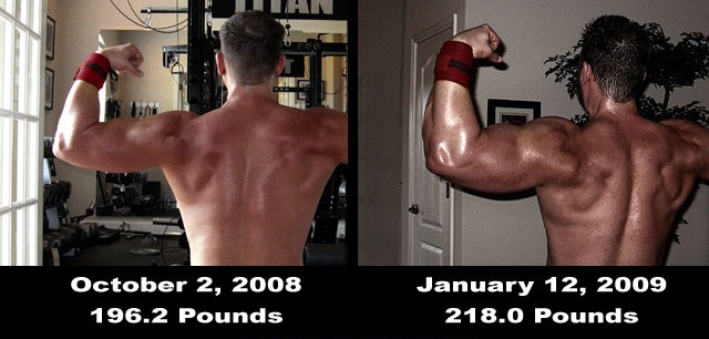aflsowan: bodybuilders before and after