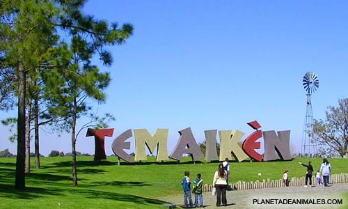 Buenos Aires: Temaikén