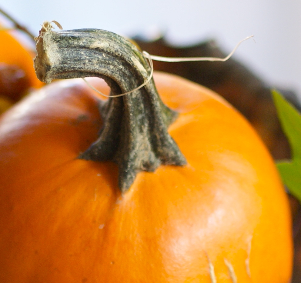 2 Stews: Roasted Pumpkin Chestnut Soup