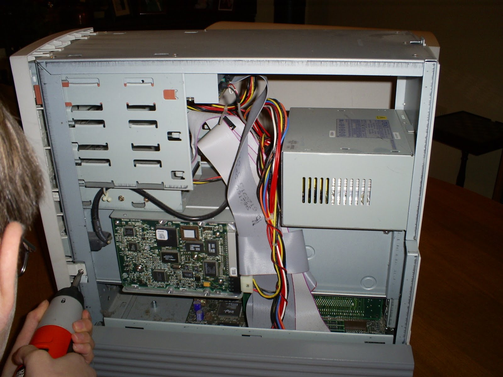 Homegrown Minds: Dissection