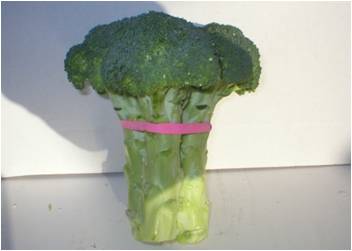 Eighty-Seven Years feeding a nation. The D'Arrigo Bros and their Andy ...