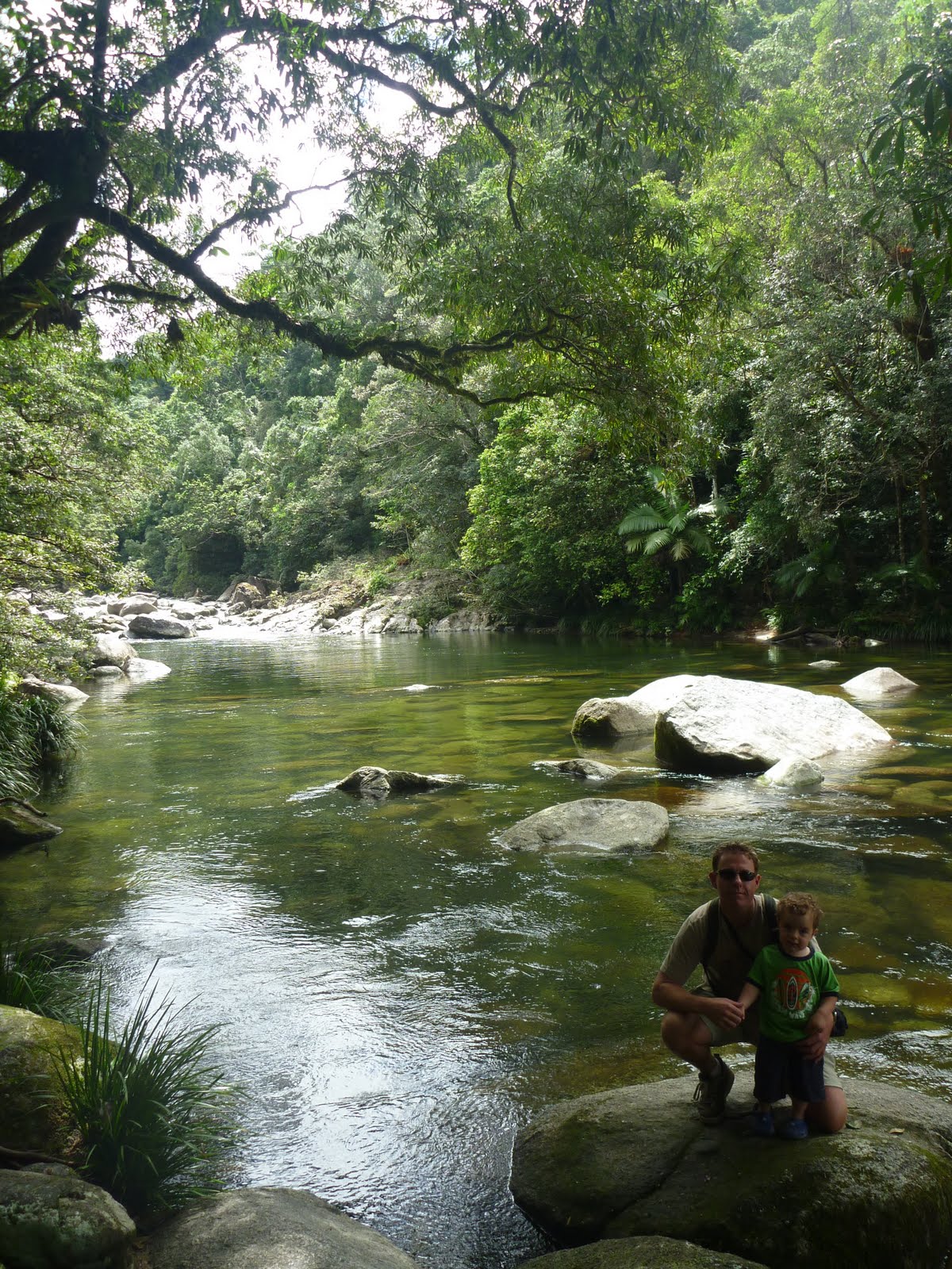 Wazza's Wanderers : Mossman Gorge