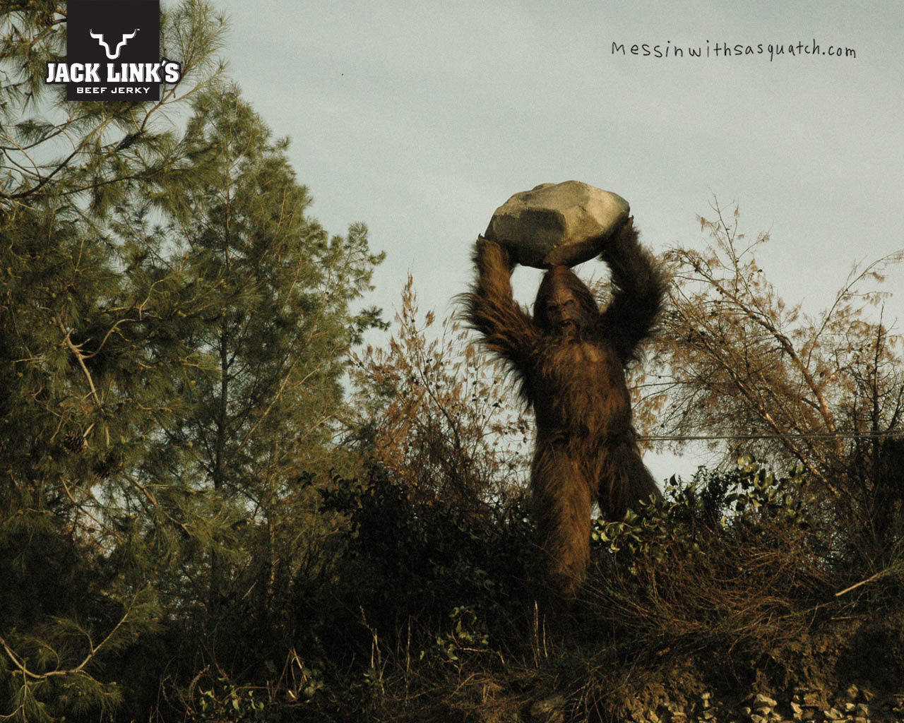 The Shadow Of The Bigfoot - blumsunde