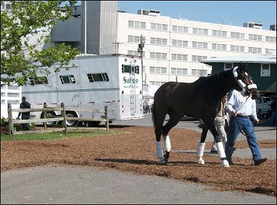 Scott Wykoff's WBAL Radio Blog: Precious Preakness Cargo | WBAL Radio ...