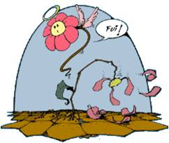 Meio ambiente e vida