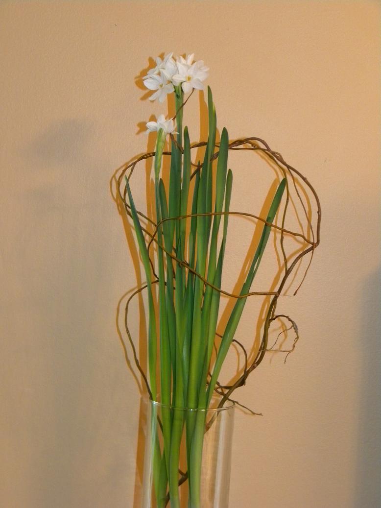 Wedding Flowers from Springwell: DIY Wedding Flowers: Paperwhites