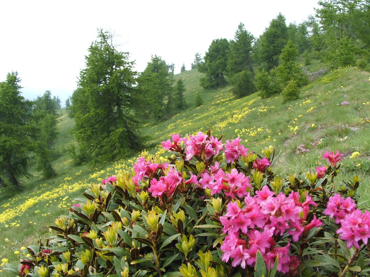 Le mie montagne: Cima Marta