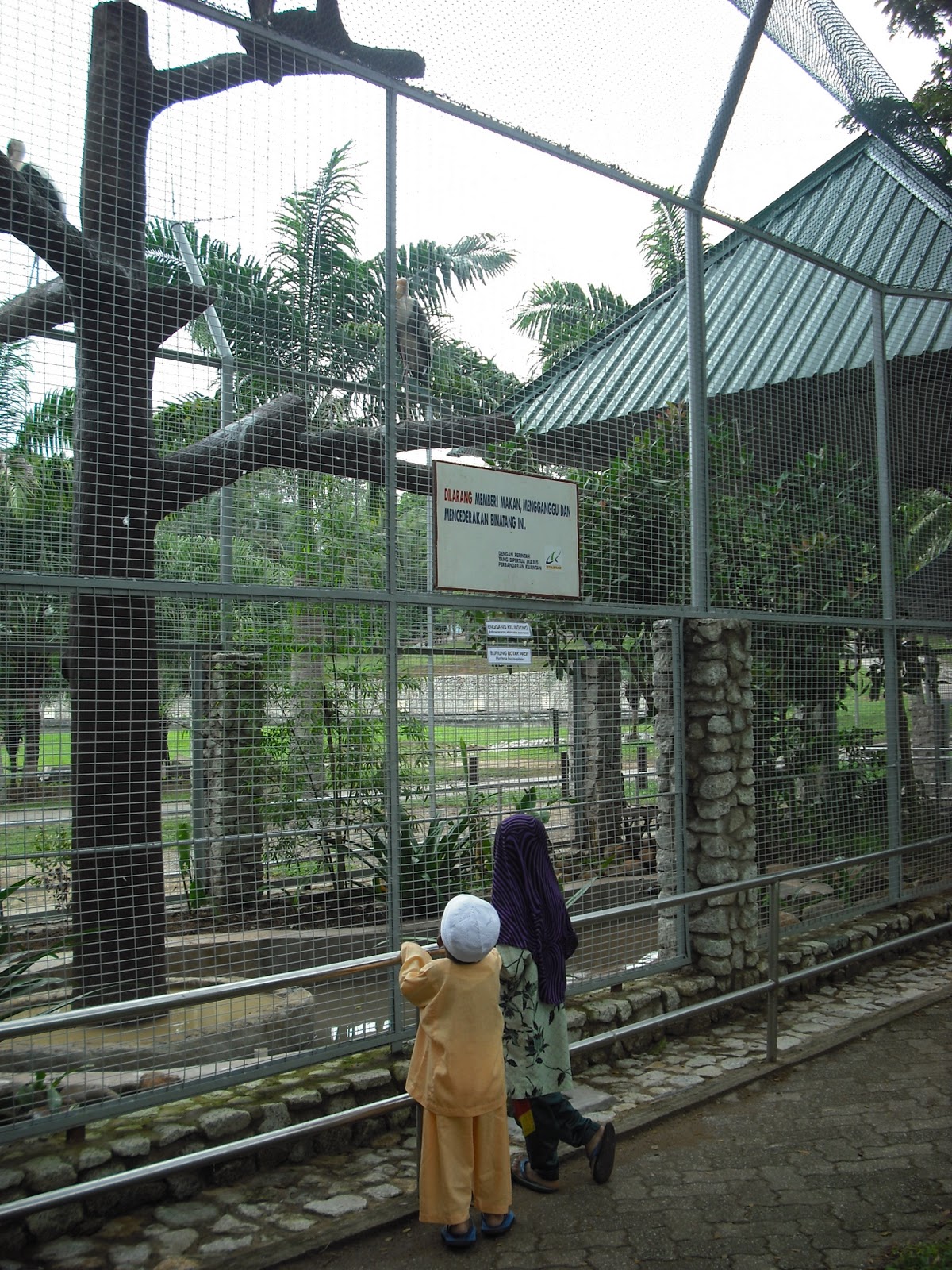 Pengembaraan Di Pahang: Zoo Teruntum. Foto 18 Disember 2010.