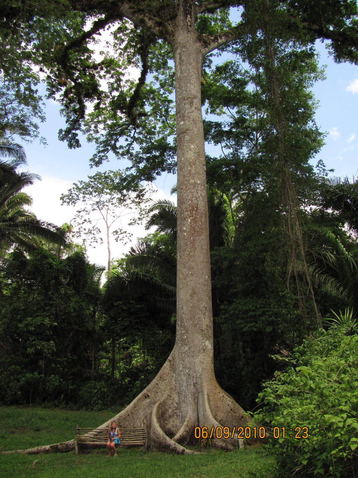 Kotamundi Says You Better Belize It