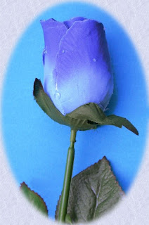 .:.Blanca.:.: tulipan azul