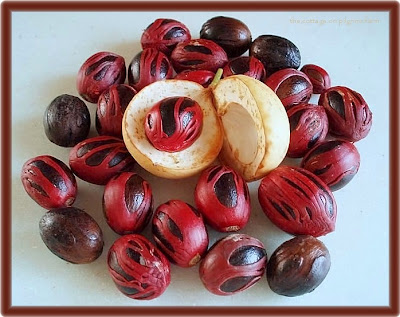 Cottage Life on Pilgrim's Farm: Nutmeg Jam...