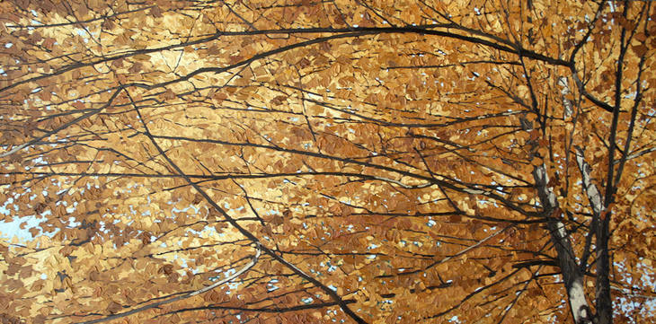 The Art Out There: Peter Rotter