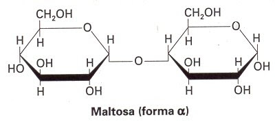 Fisica, quimica y biologia: Química - Glucidos